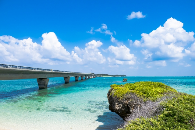 フォトギャラリー : ICONIP 2025