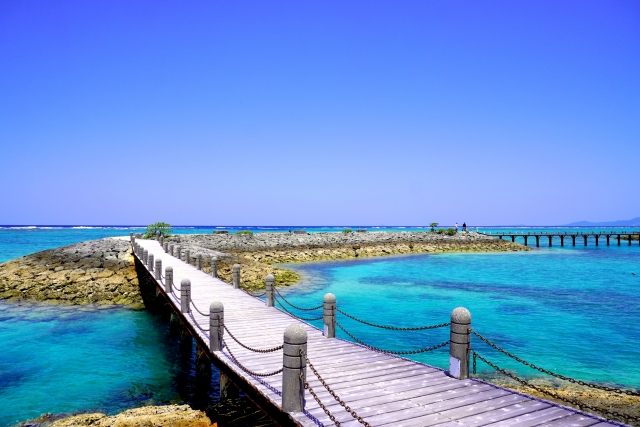 フォトギャラリー : ICONIP 2025